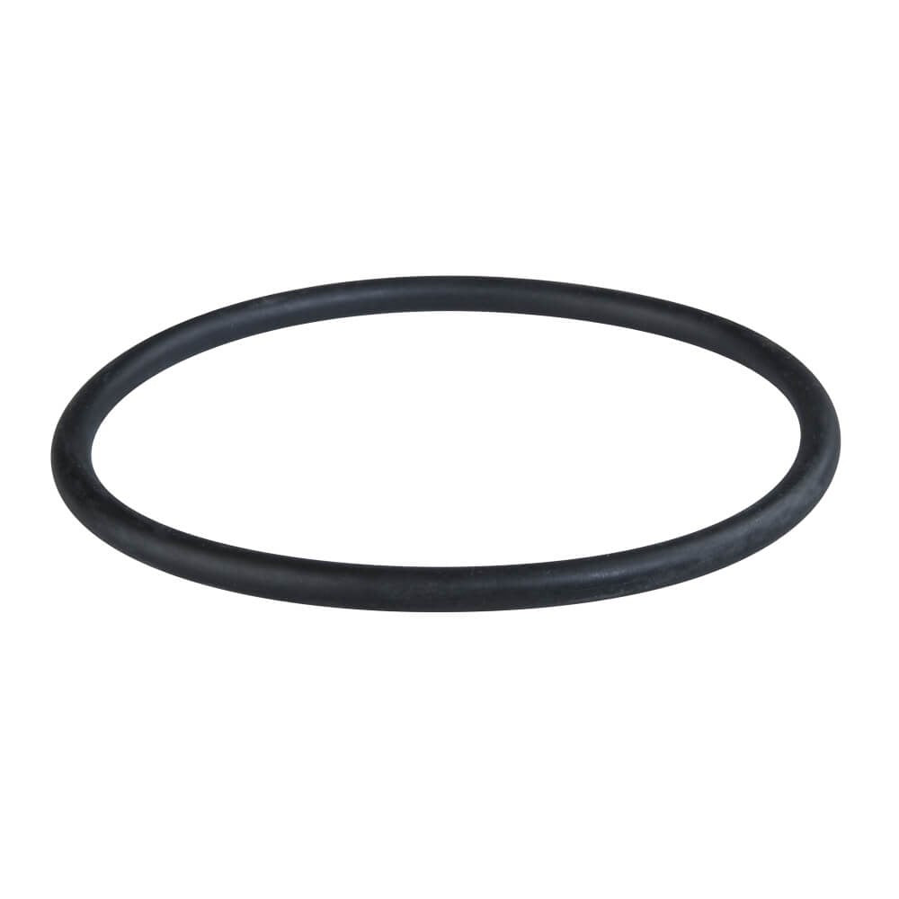 Replacement O-ring For Oasis Big Filter Housings – Ketta Pumps
