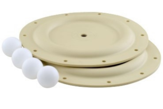 Aro 637124-44 pump service repair kit with PTFE (Teflon) balls and PTF ...
